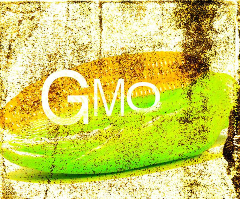 WHAT DO WE REALLY KNOW ABOUT GMO? – Synergy Natural